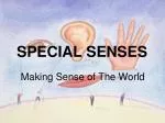 PPT - Special Senses: Vision PowerPoint Presentation, free download ...