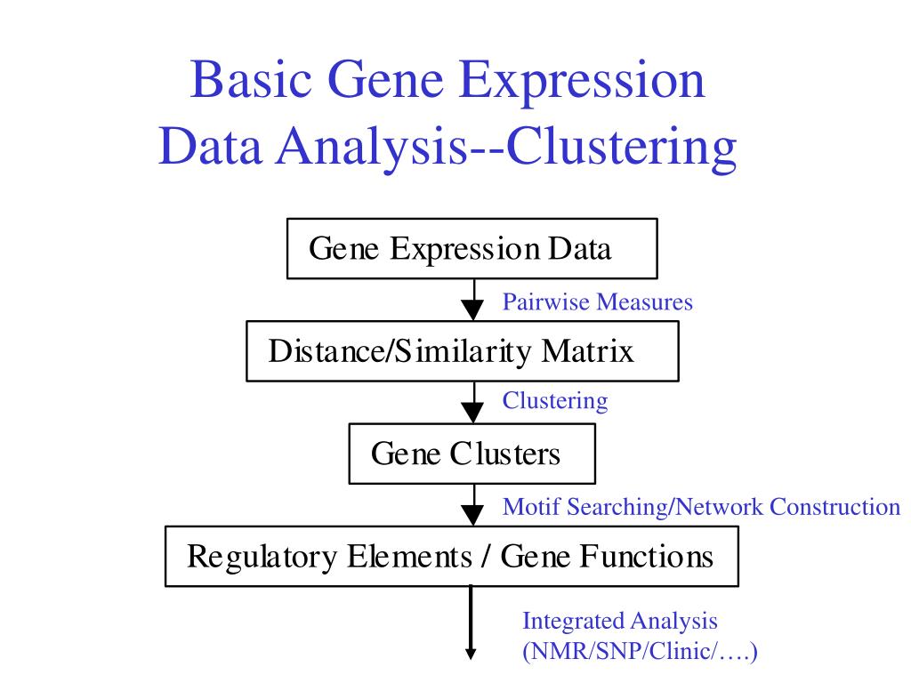 PPT - Basic Gene Expression Data Analysis--Clustering PowerPoint Presentation - ID:1331461