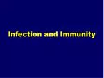 PPT - CHAPTER 10 Infection and Immunity PowerPoint Presentation, free ...