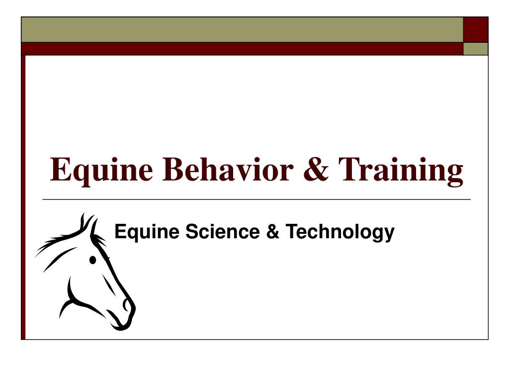 PPT - Equine Behavior & Training PowerPoint Presentation, free download ...