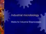 PPT - CHAPTER 30 Industrial Microbiology PowerPoint Presentation, free ...