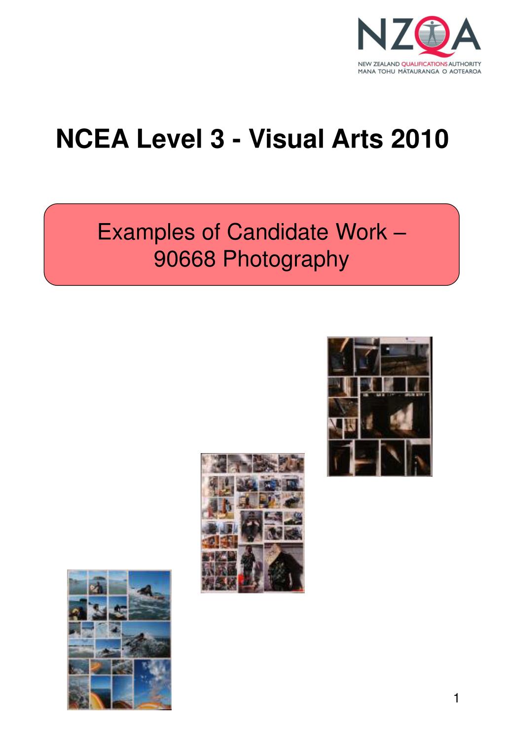 PPT - NCEA Level 3 - Visual Arts 2010 PowerPoint Presentation, free download - ID:1352791