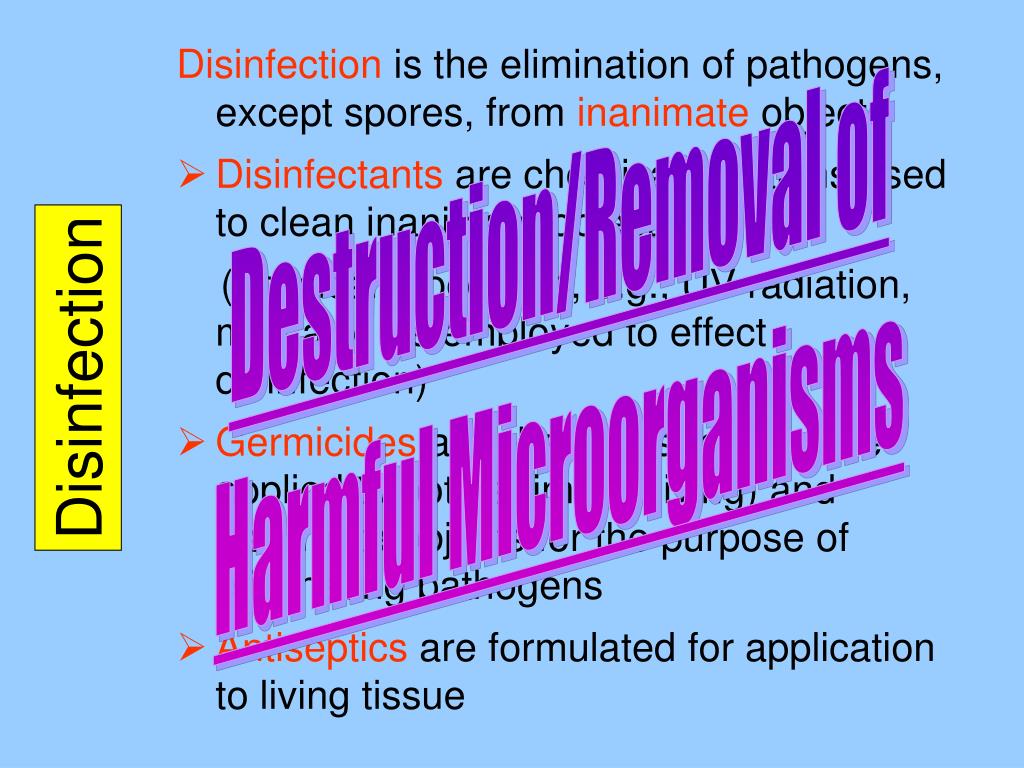 PPT - Disinfection PowerPoint Presentation, free download - ID:1355564