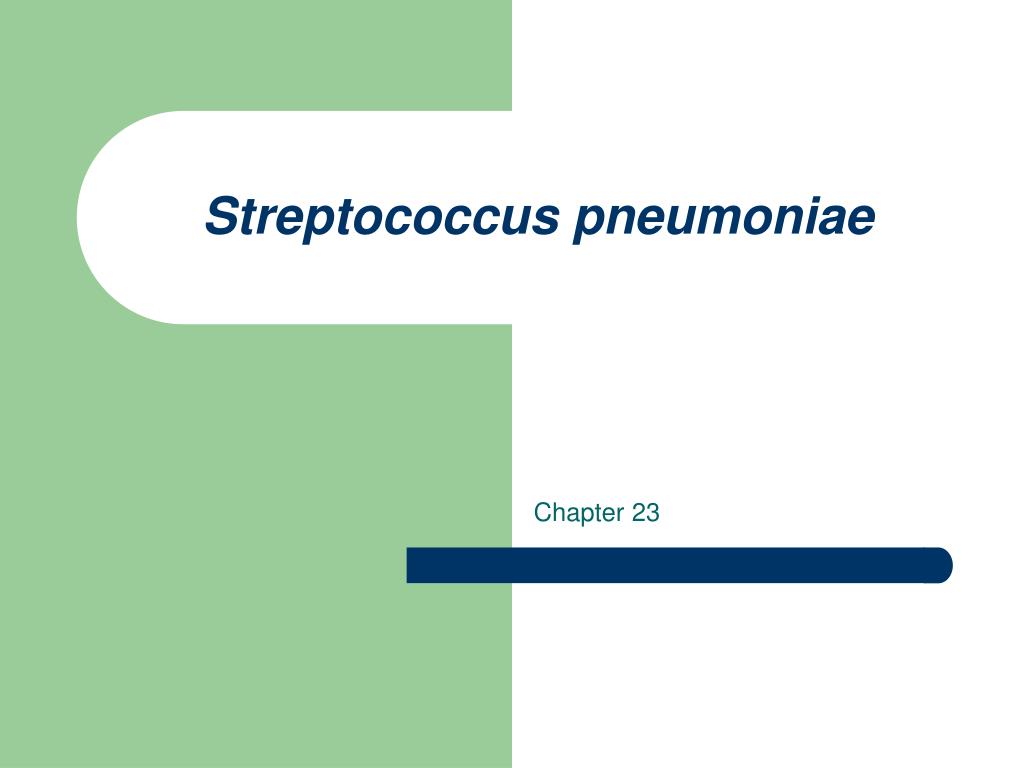 PPT - Streptococcus pneumoniae PowerPoint Presentation, free download ...