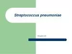 PPT - STREPTOCOCCUS PowerPoint Presentation, free download - ID:5596913