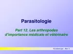 PPT - Parasitologie PowerPoint Presentation, free download - ID:822936