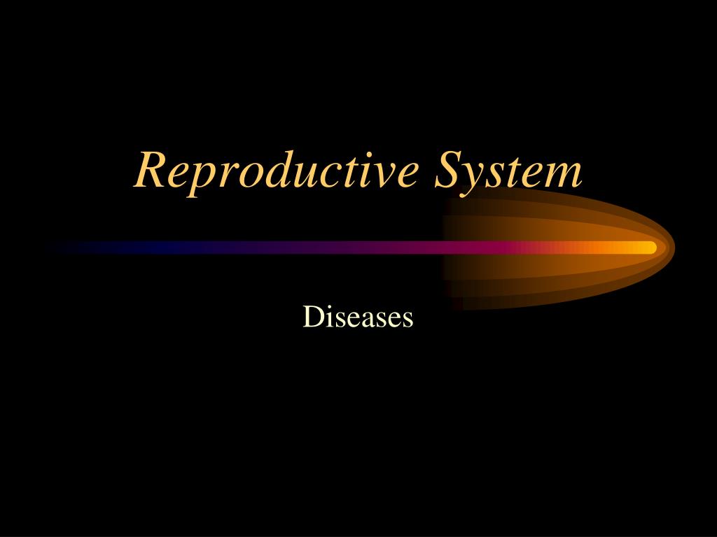 PPT - Reproductive System PowerPoint Presentation, free download - ID ...