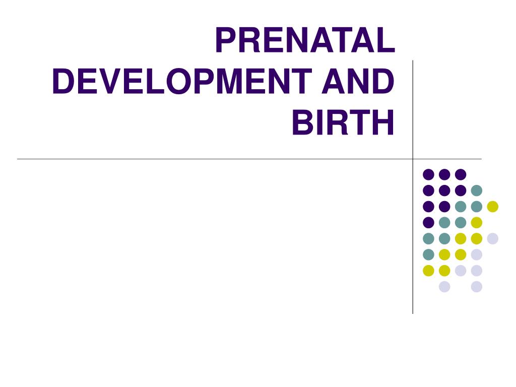 PPT - PRENATAL DEVELOPMENT AND BIRTH PowerPoint Presentation, free ...
