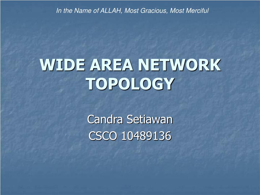 PPT - WIDE AREA NETWORK TOPOLOGY PowerPoint Presentation, free download ...