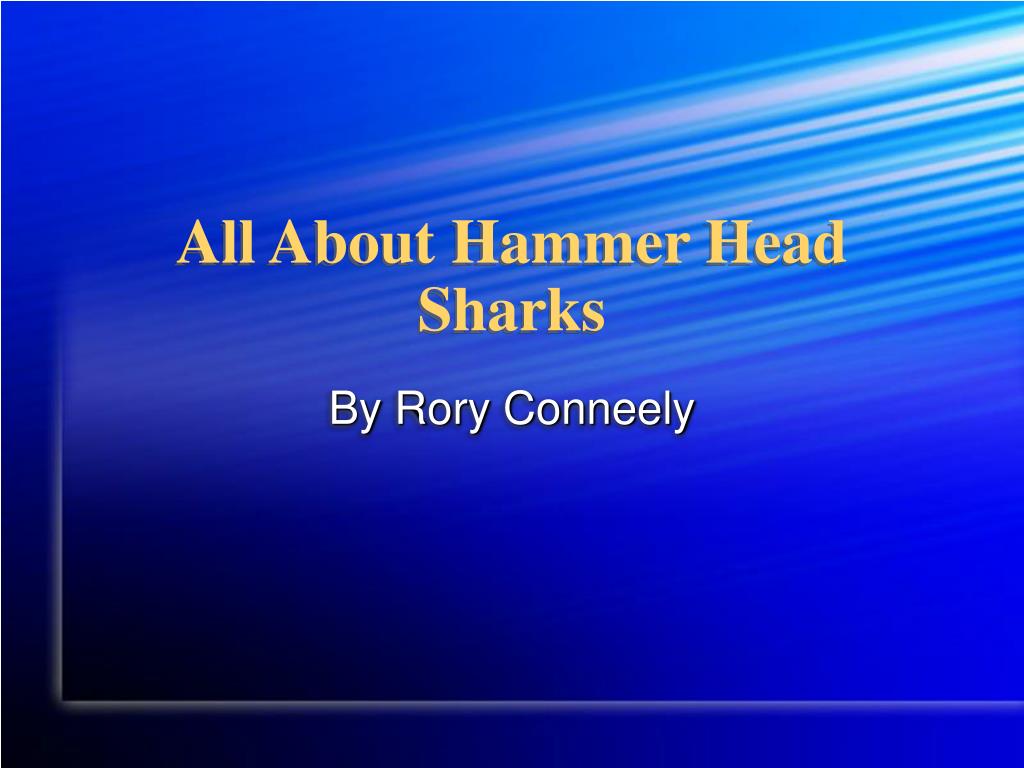 PPT - All About Hammer Head Sharks PowerPoint Presentation, free ...