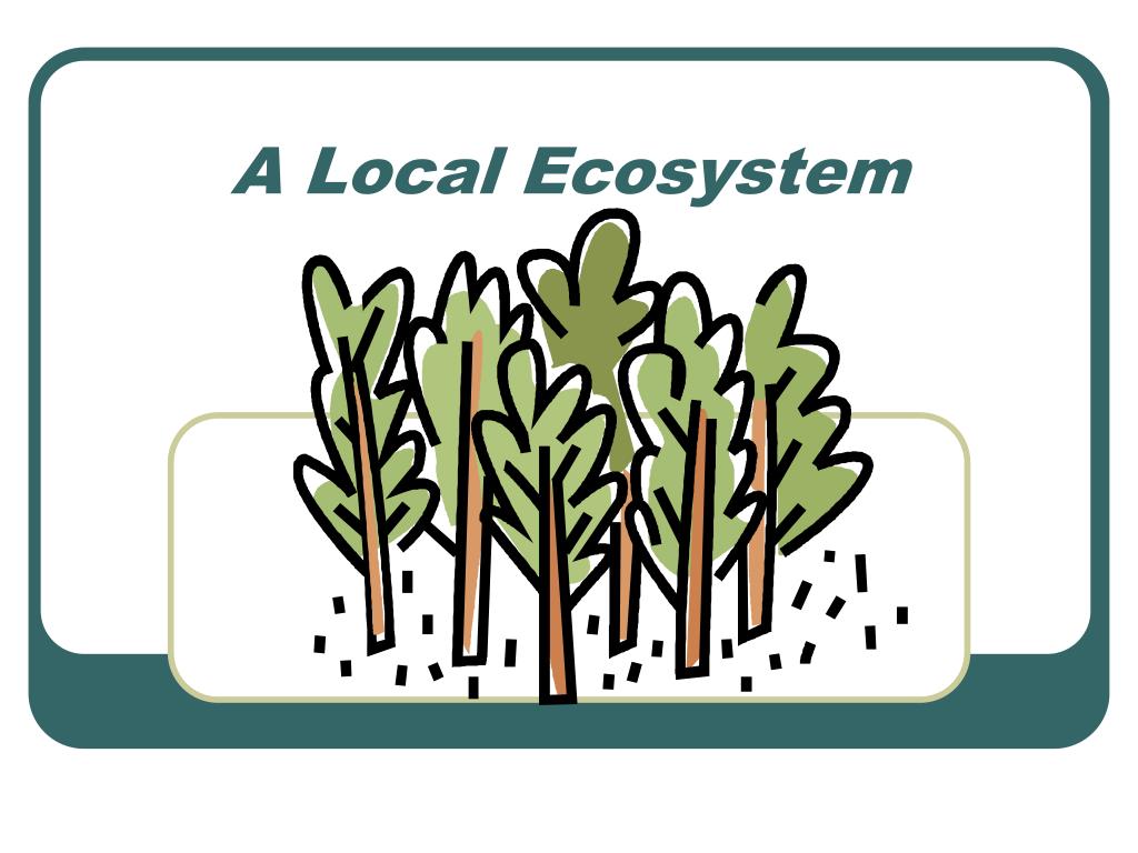 PPT - A Local Ecosystem PowerPoint Presentation, free download - ID:1373723
