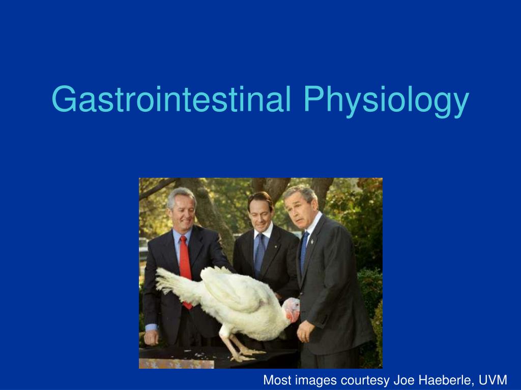PPT - Gastrointestinal Physiology PowerPoint Presentation, free ...