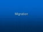 PPT - MIGRATION PowerPoint Presentation, free download - ID:2783282