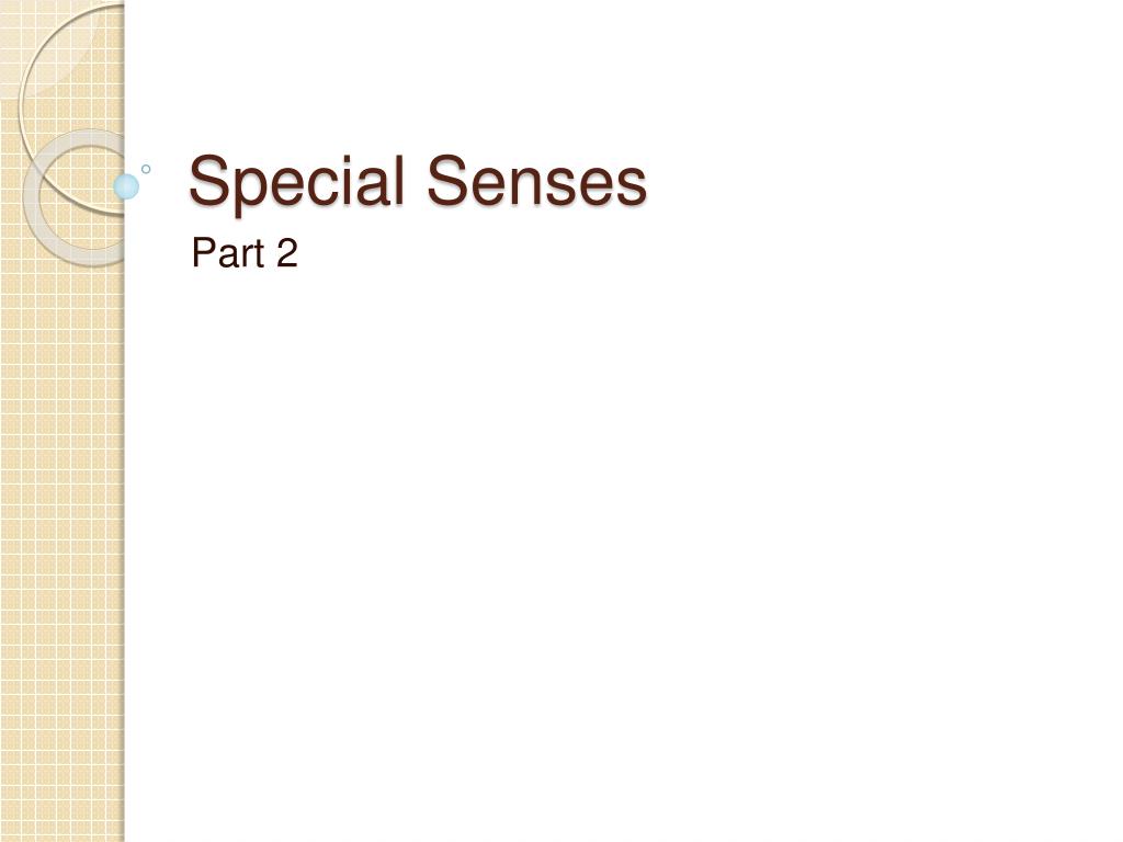 PPT - Special Senses PowerPoint Presentation, free download - ID:1382970