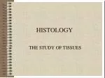 PPT - Histology PowerPoint Presentation, free download - ID:2389864