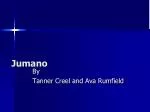 PPT - JUMANO TRIBE PowerPoint Presentation, free download - ID:6366146