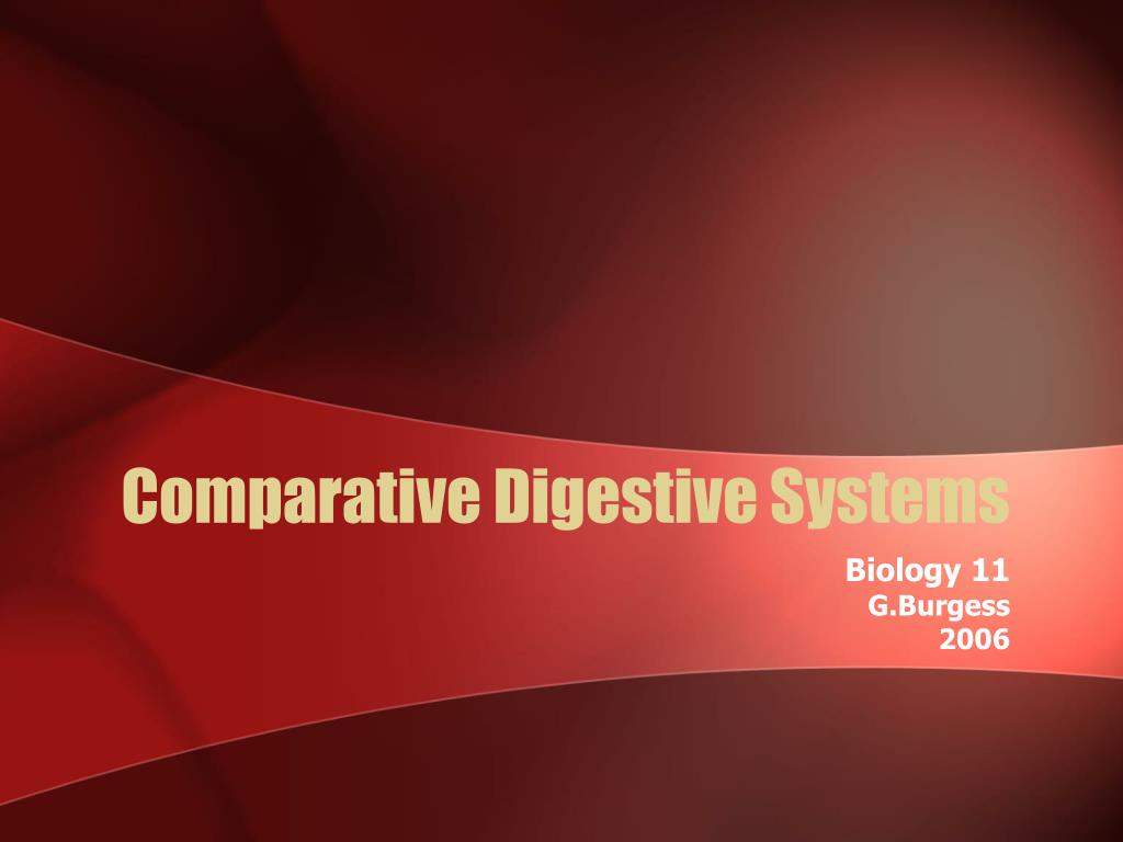 PPT - Comparative Digestive Systems PowerPoint Presentation, free ...