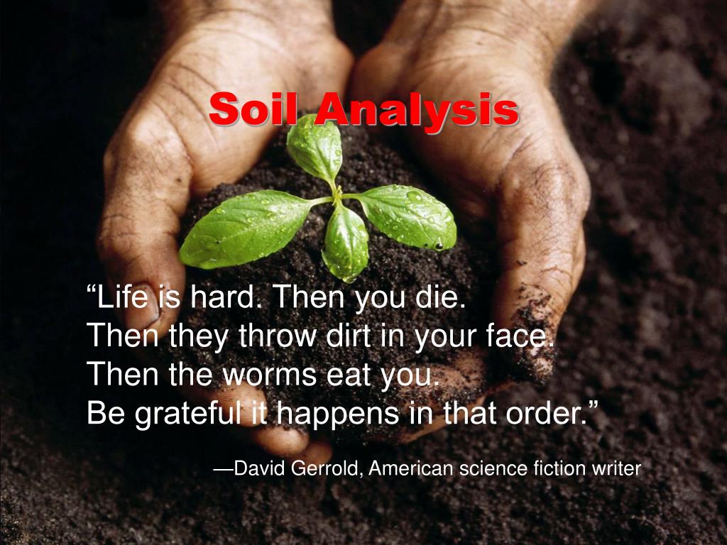 PPT - Soil Analysis PowerPoint Presentation, free download - ID:1391021