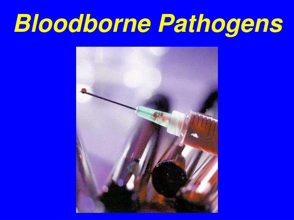 PPT - Bloodborne Pathogens PowerPoint Presentation, free download - ID ...