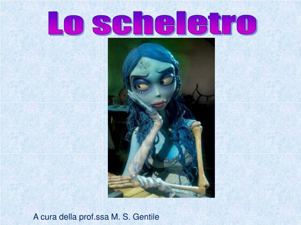 PPT - Lo scheletro PowerPoint Presentation, free download - ID:1392899