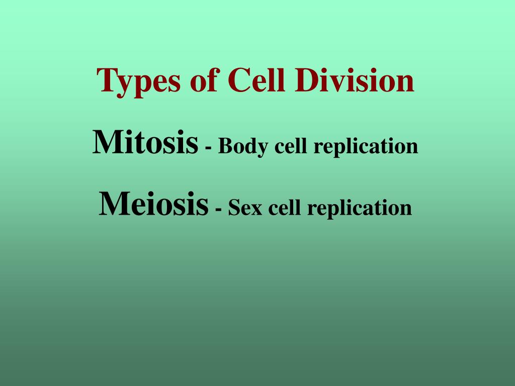 PPT - Types of Cell Division Mitosis - Body cell replication Meiosis ...