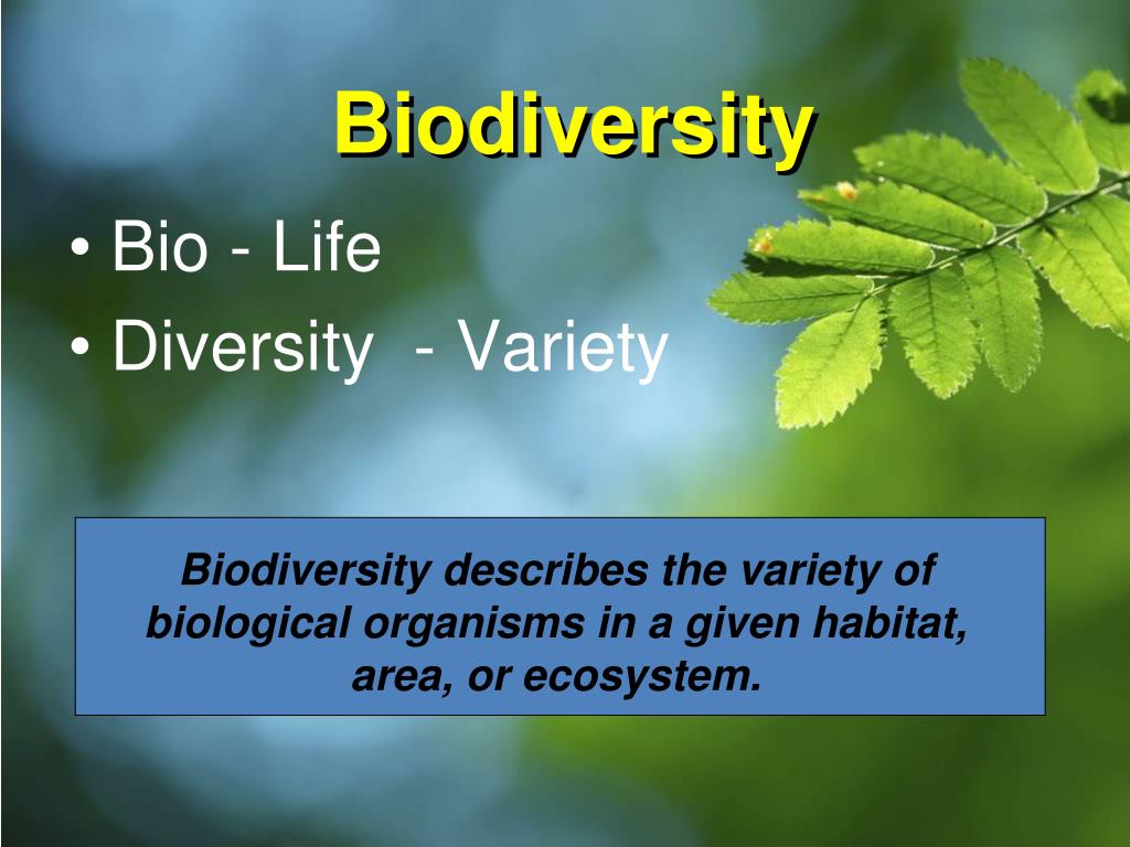 PPT - Biodiversity PowerPoint Presentation, free download - ID:1395884