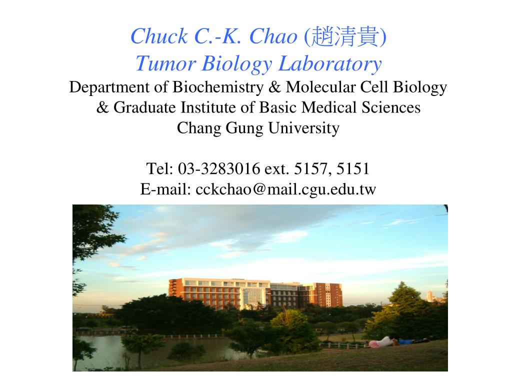 PPT - RNA Metabolism PowerPoint Presentation, free download - ID:1396458