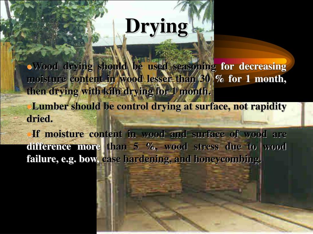 PPT - Drying PowerPoint Presentation, free download - ID:1397889