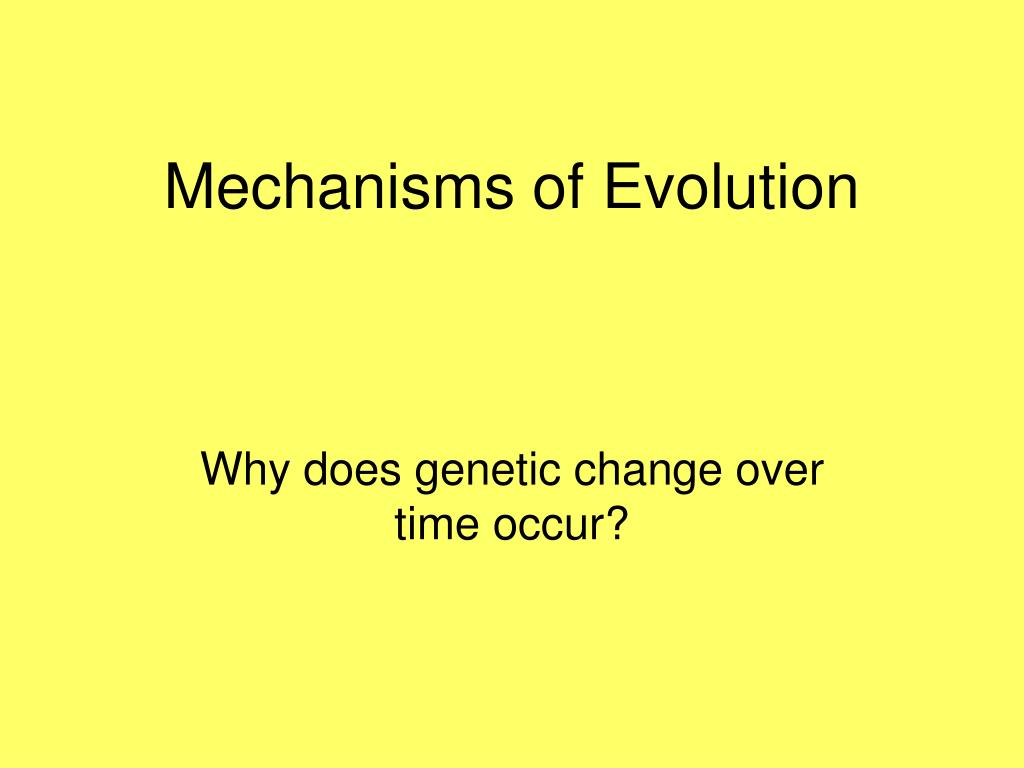 PPT - Mechanisms of Evolution PowerPoint Presentation, free download ...
