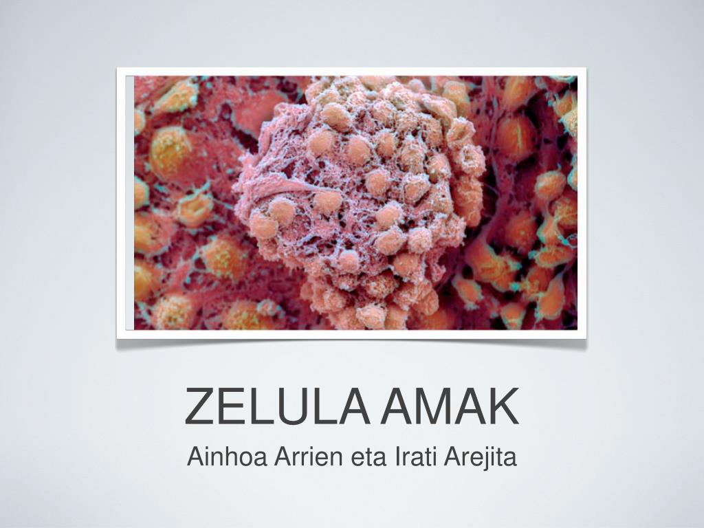 PPT - ZELULA AMAK PowerPoint Presentation, free download - ID:1397966