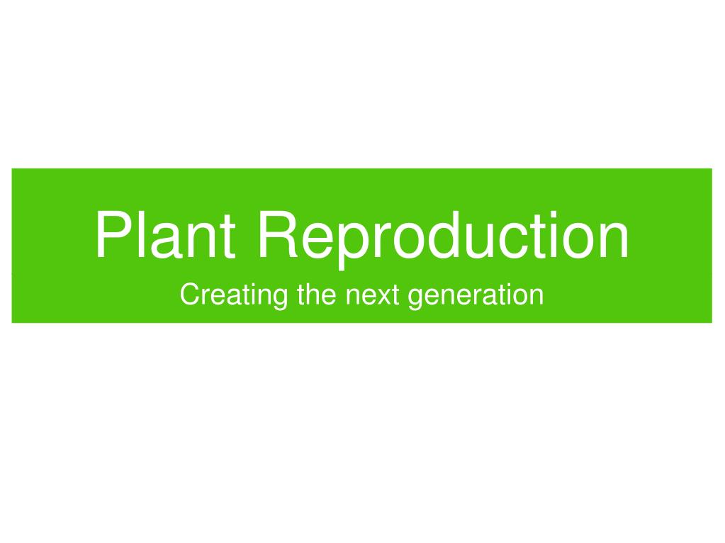 PPT - Plant Reproduction PowerPoint Presentation, free download - ID ...