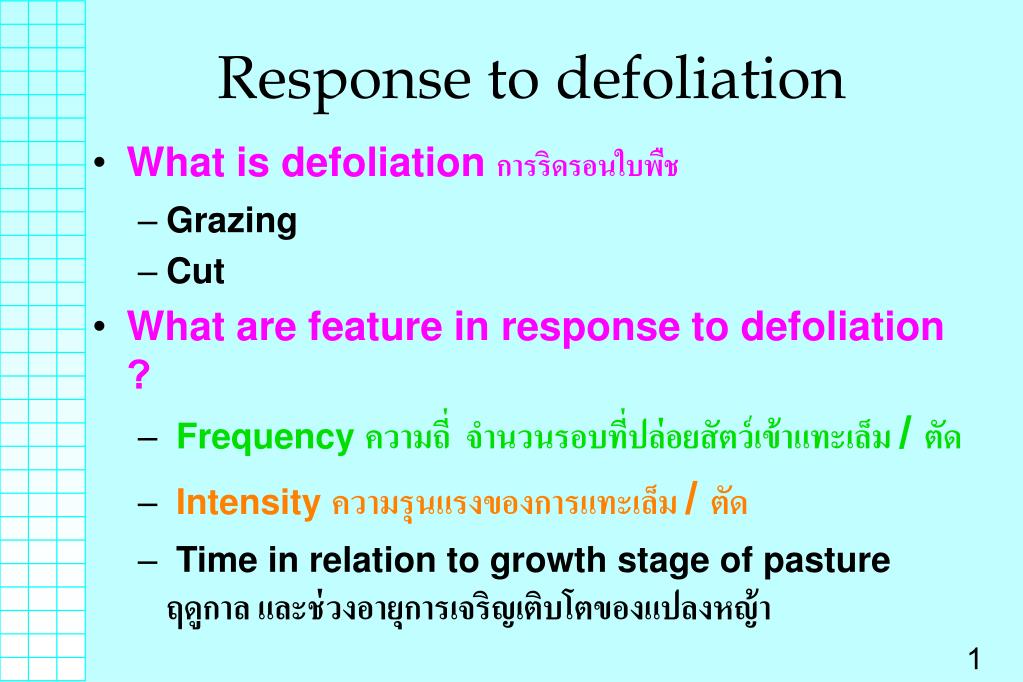 PPT - Response to defoliation PowerPoint Presentation, free download ...