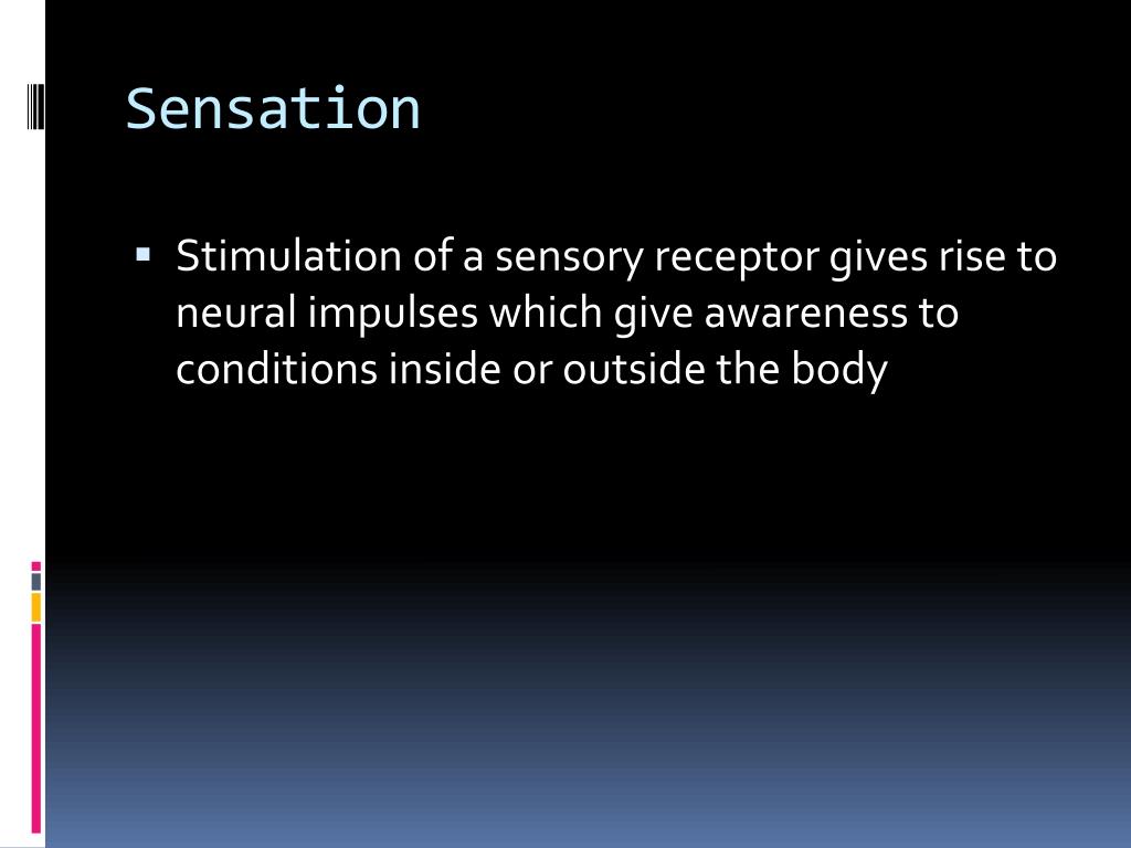 PPT - Sensation PowerPoint Presentation, free download - ID:1399910