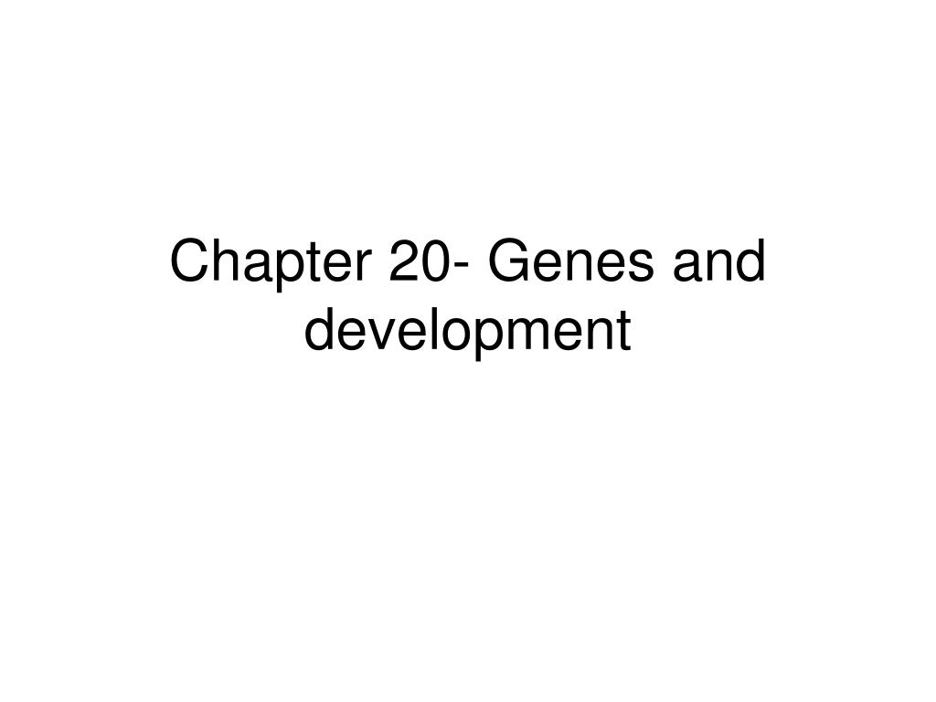 PPT - Chapter 20- Genes and development PowerPoint Presentation, free ...
