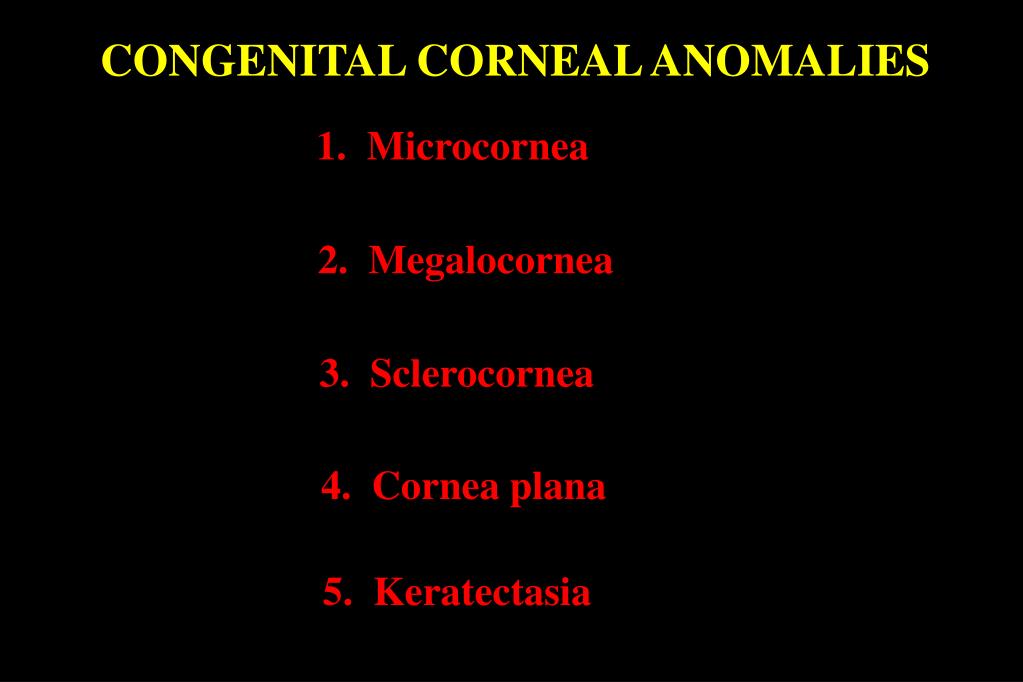 PPT - 1. Microcornea PowerPoint Presentation, free download - ID:1403620
