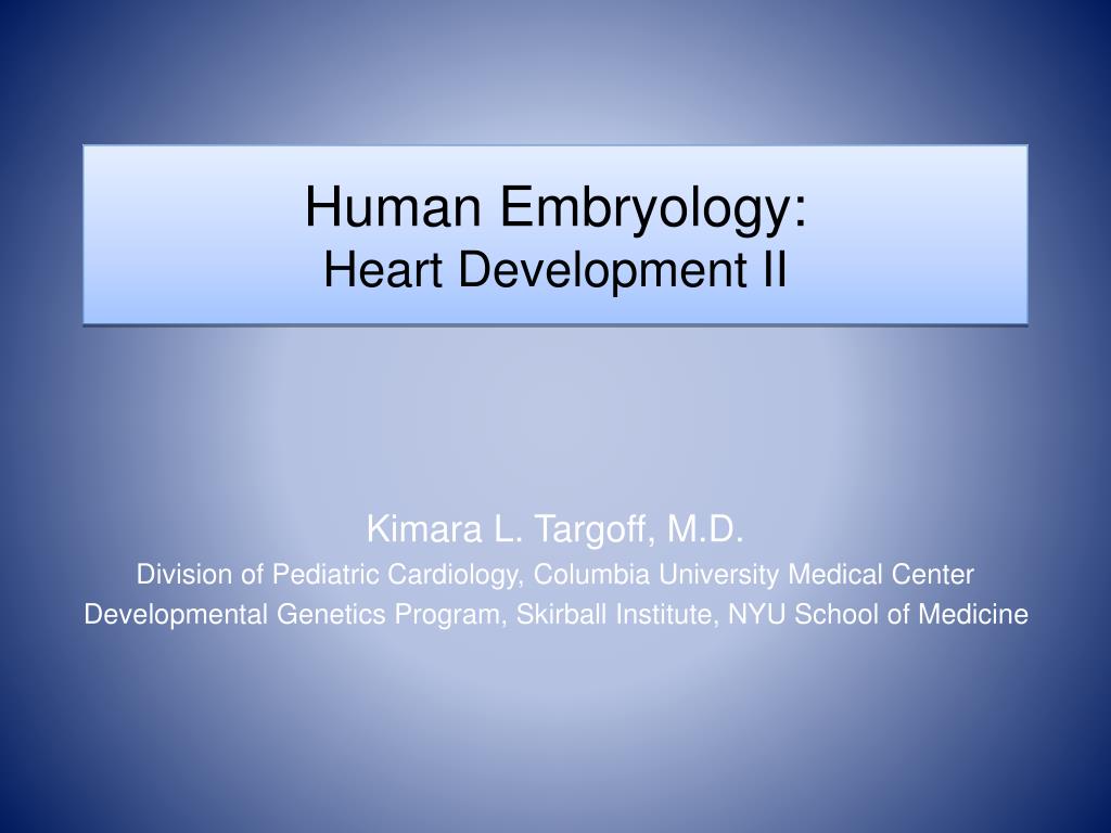 PPT - Human Embryology: Heart Development II PowerPoint Presentation ...