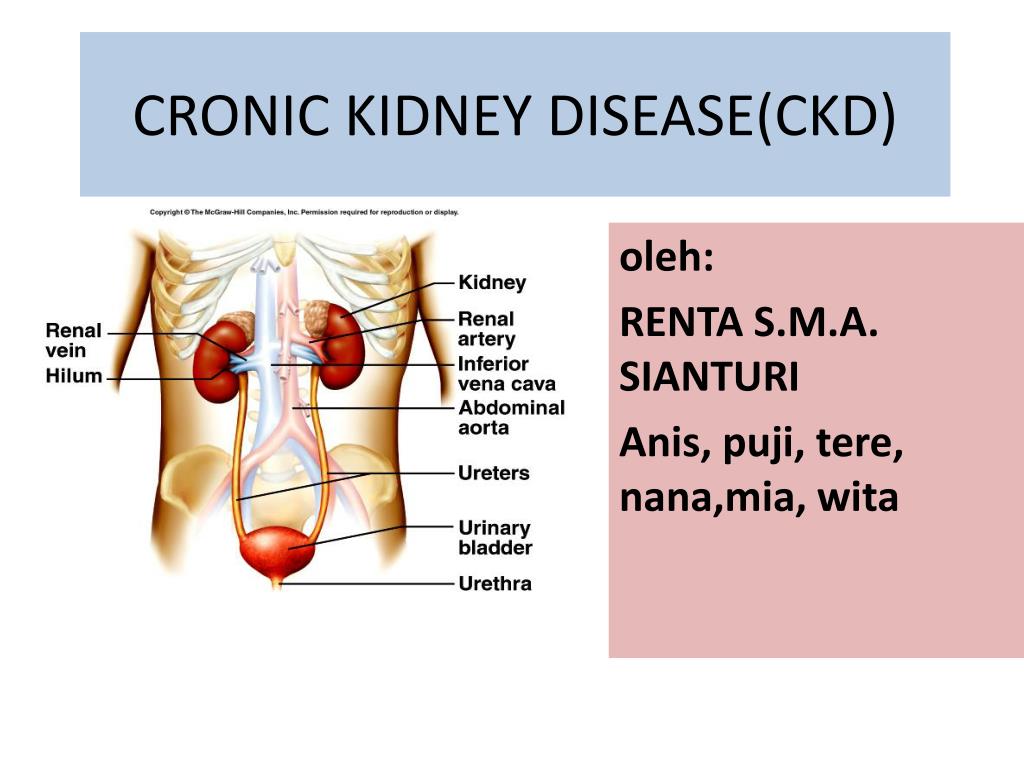 PPT - CRONIC KIDNEY DISEASE(CKD) PowerPoint Presentation, free download ...