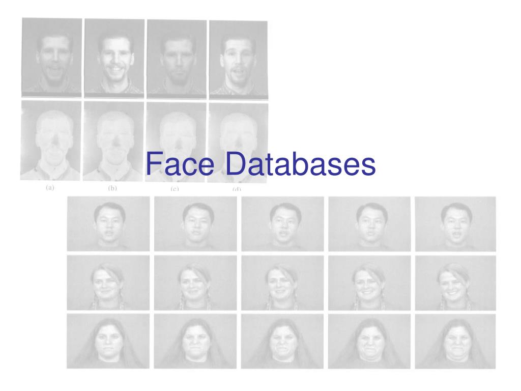 PPT - Face Databases PowerPoint Presentation, free download - ID:1408344