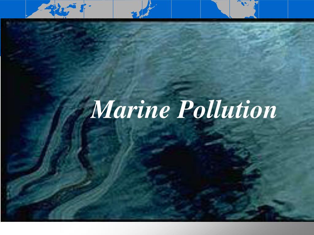PPT - Marine Pollution PowerPoint Presentation, free download - ID:1408805