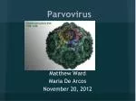 PPT - Parvovirus PowerPoint Presentation, free download - ID:3692648