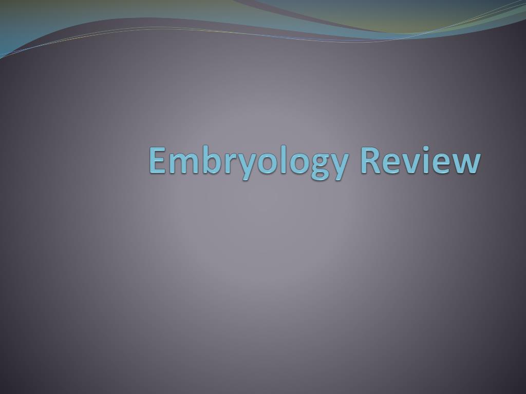 PPT - Embryology Review PowerPoint Presentation, free download - ID:1412343