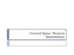 PPT - Physical Examination of the Lumbar Spine PowerPoint Presentation ...