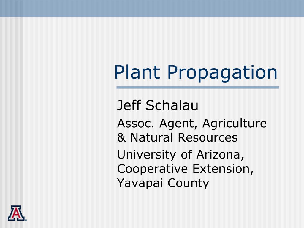 PPT - Plant Propagation PowerPoint Presentation, free download - ID:1413987