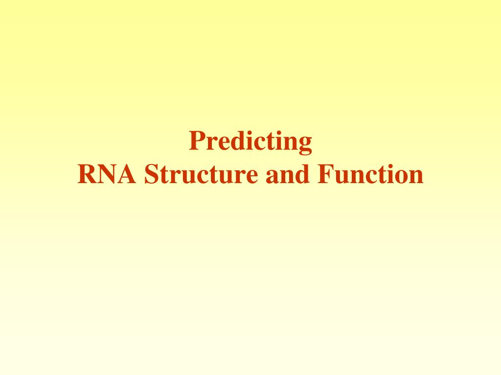 PPT - Predicting RNA Structure and Function PowerPoint Presentation, free download - ID:1414496