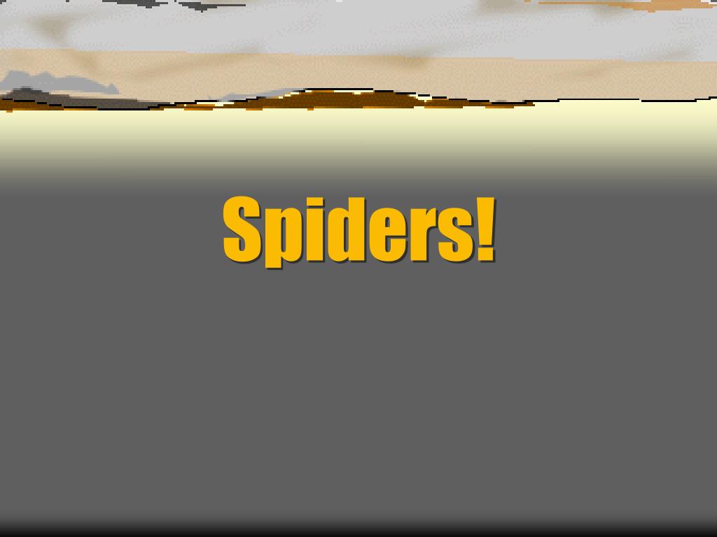 PPT - Spiders! PowerPoint Presentation, free download - ID:1417775