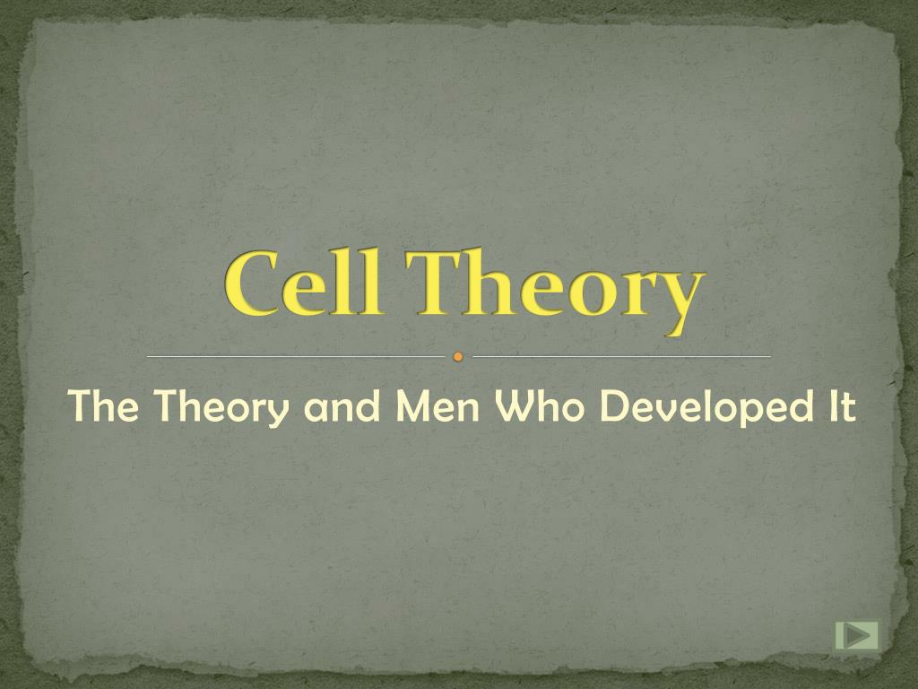 PPT - Cell Theory PowerPoint Presentation, free download - ID:1417917