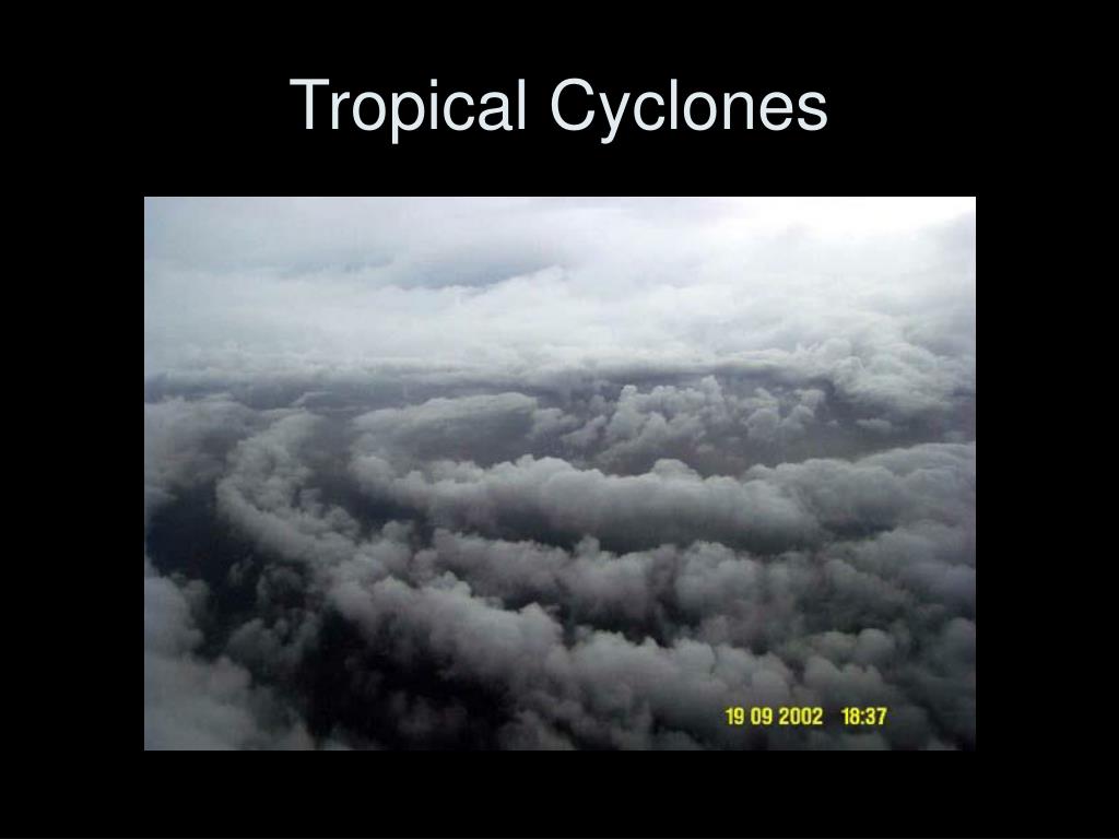 PPT - Tropical Cyclones PowerPoint Presentation, free download - ID:1418791
