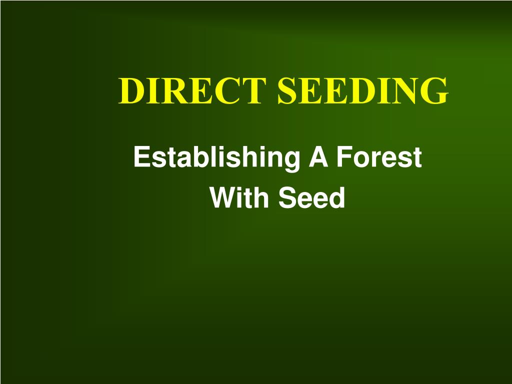 PPT - DIRECT SEEDING PowerPoint Presentation, free download - ID:142002