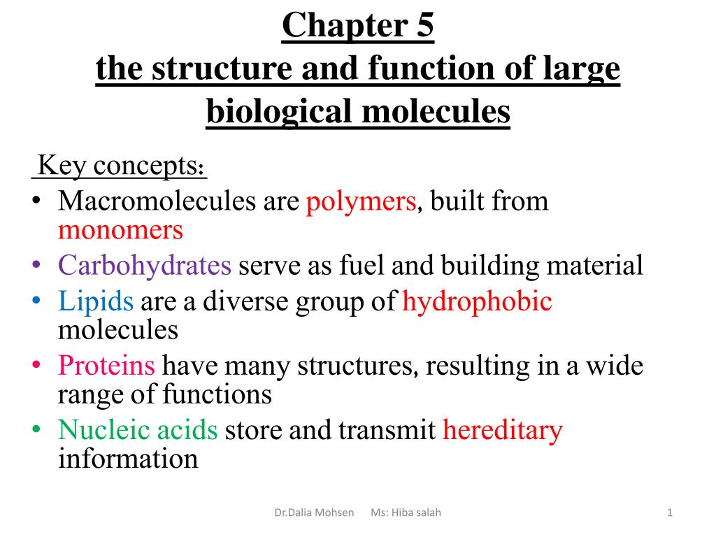 PPT - Chapter 5 the structure and function of large biological ...