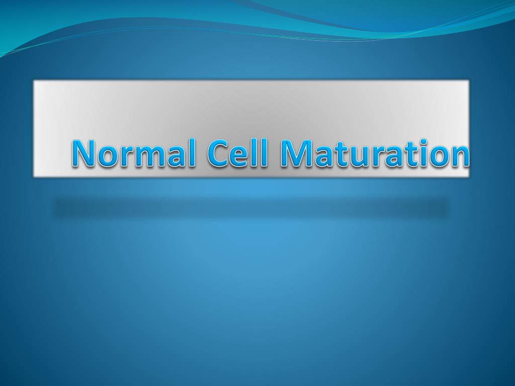 PPT - Normal Cell Maturation PowerPoint Presentation, free download ...